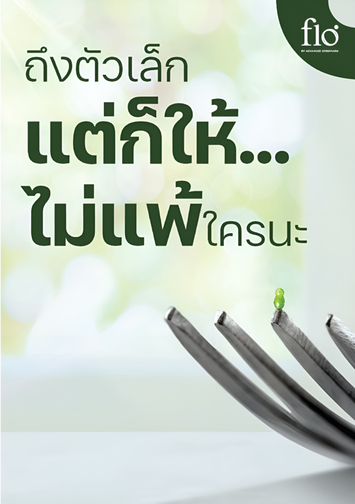 flo Wolffia Archives - Rabbit's Tale